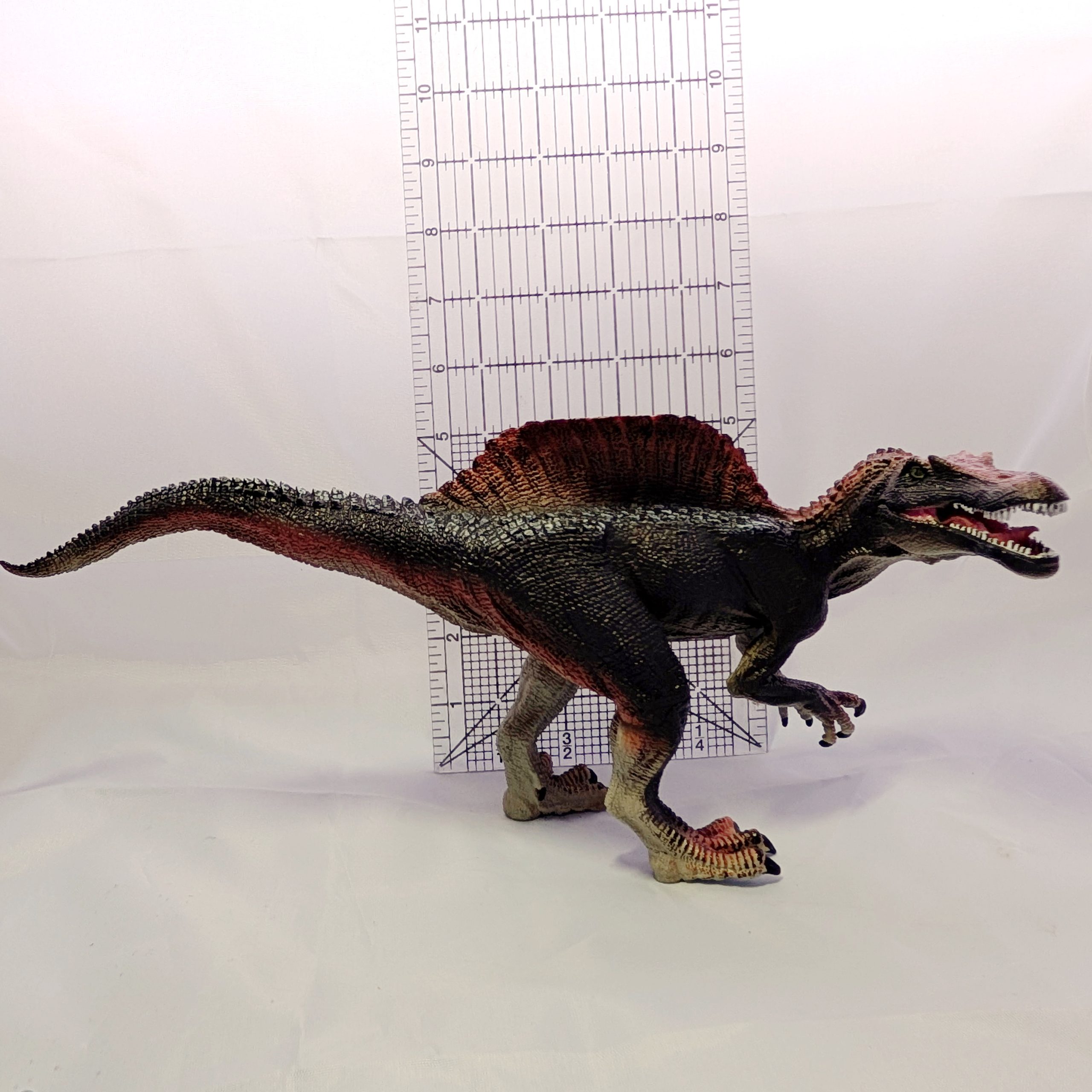 Realistic dinosaur figures roaring into Crab Street Market – The Crab ...
