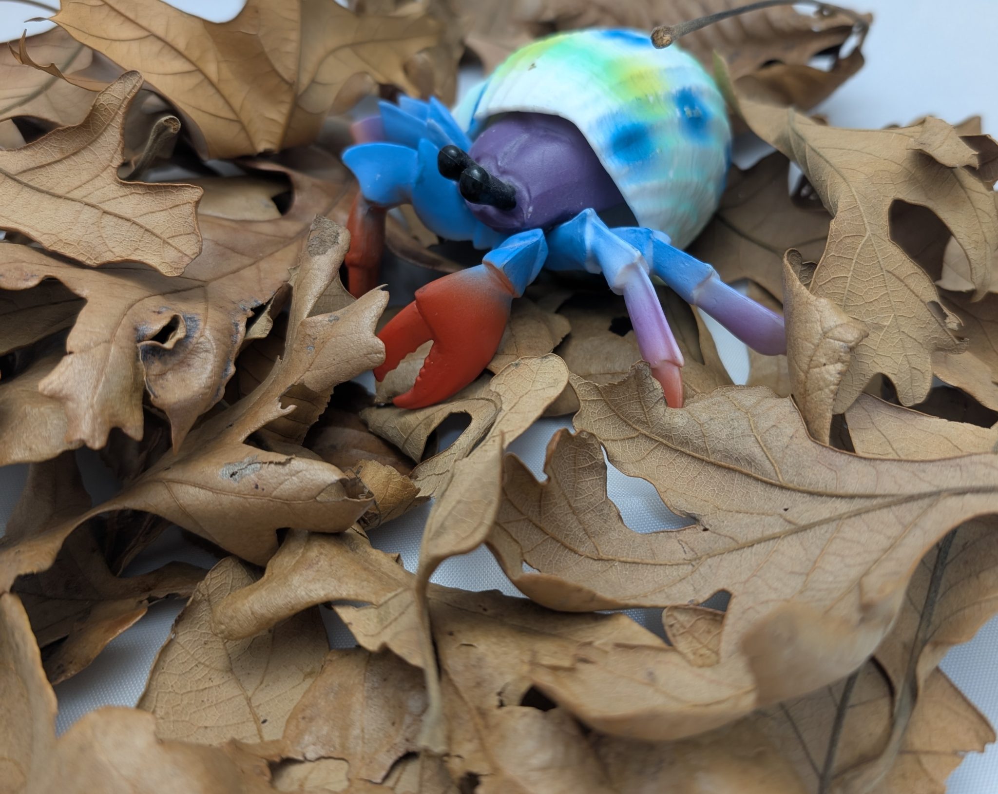 Leaf Litter – The Crab Street Market