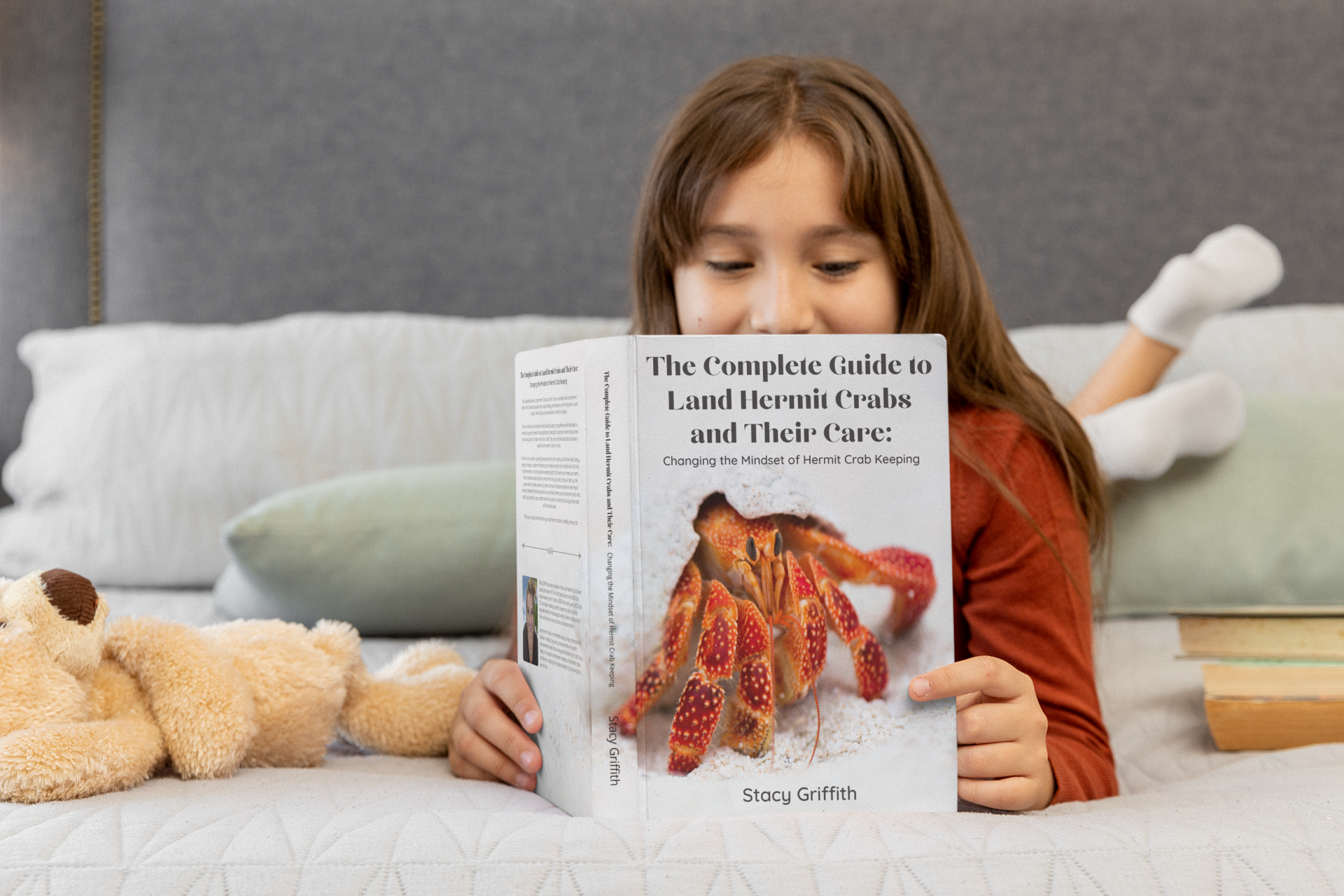 The Complete Guide to Land Hermit Crabs and Their Care: Changing the ...