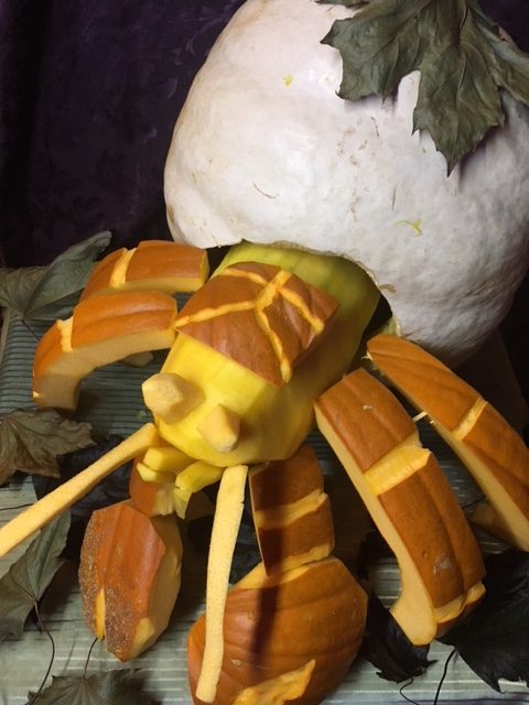 Hermit Crab Pumpkin (Crab O’Lantern) Decorating Contest | The Crab ...